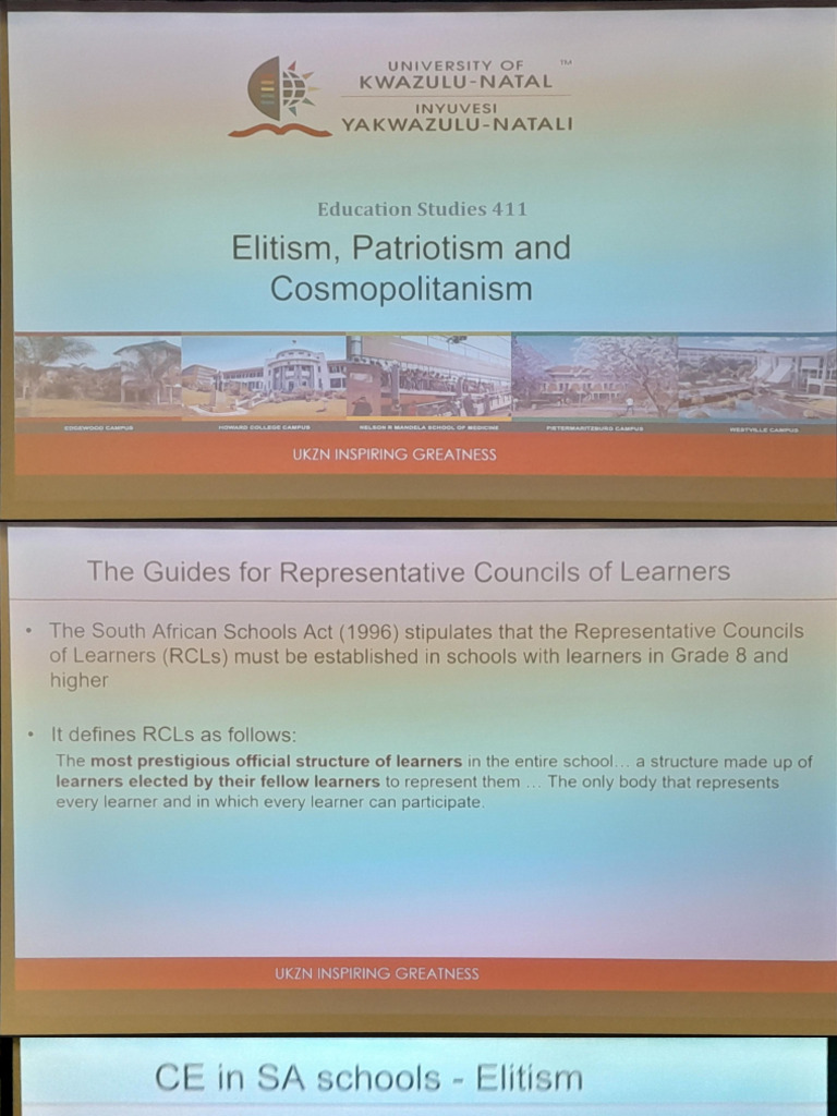 Chapter8, Elitism, Patriotism and Cosmopolitanism | PDF