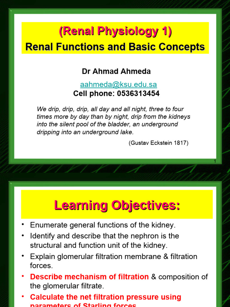 Kidney Functions & Nephron Basics | PDF | Kidney | Animal Anatomy