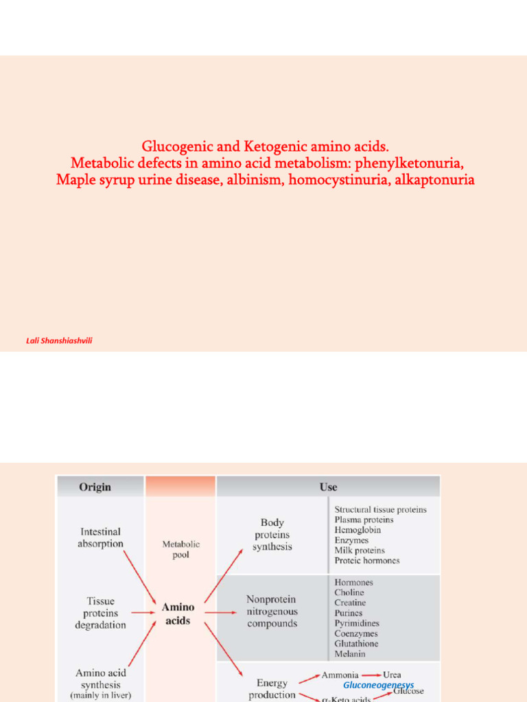 9. Glucogenic and Ketogenic Amino Acids. Metabolic Defects in Amino ...