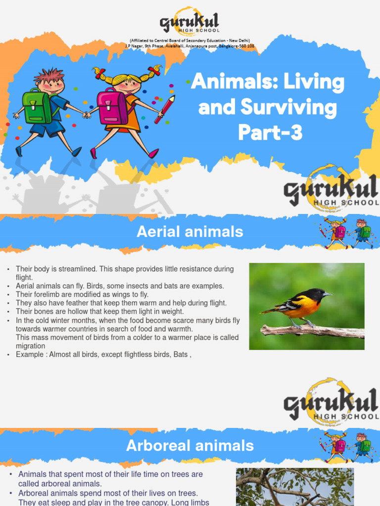 Chapter 9 - Animals Living and Surviving Part-3 | PDF | Tooth | Birds