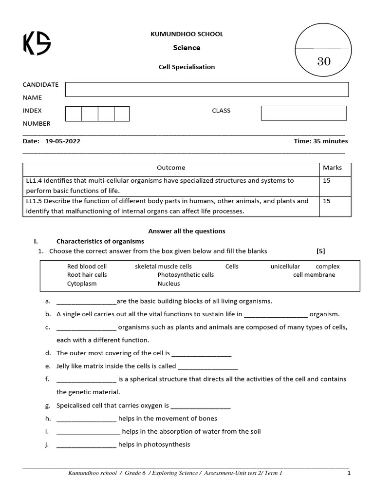 Cell Specialization Assessment for Grade 6 | PDF | Cell (Biology) | Life