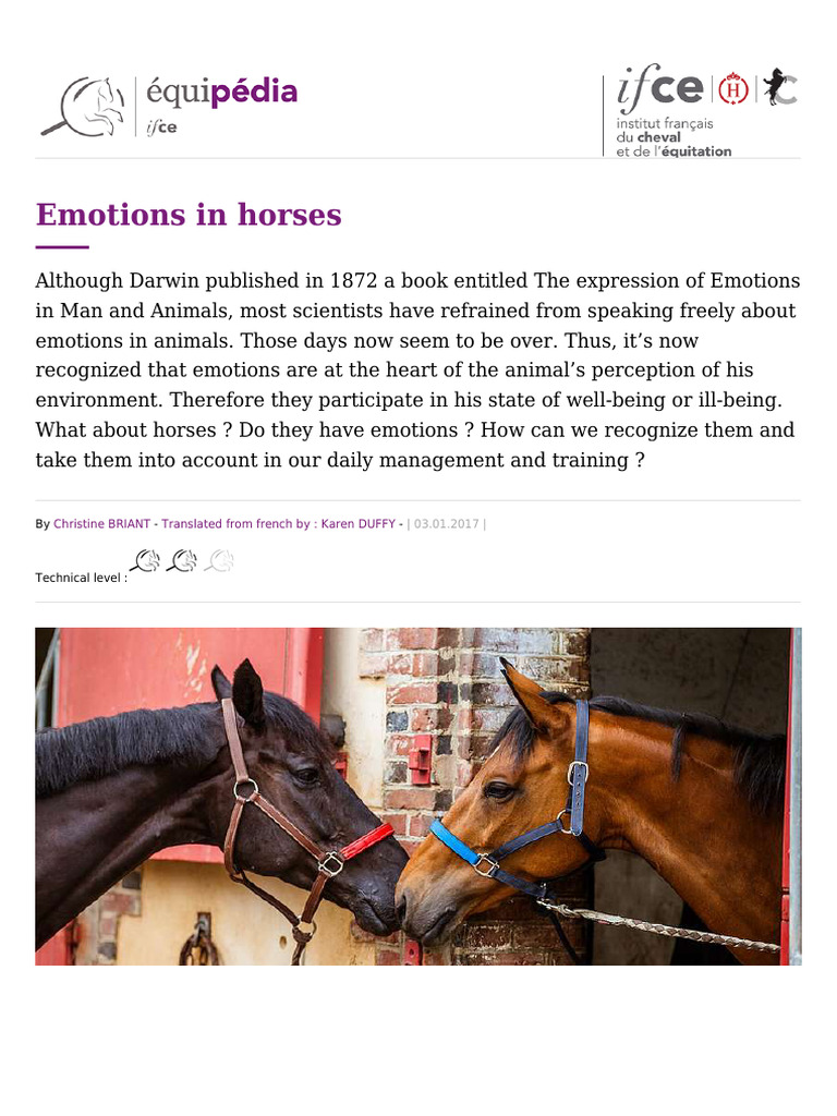 Emotions in Horses | PDF | Emotions | Reinforcement