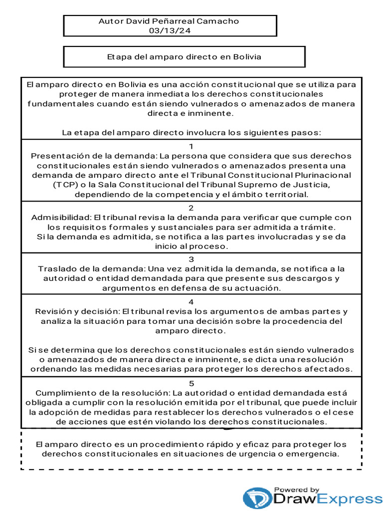 Amparo Constitucional Diagrama | PDF
