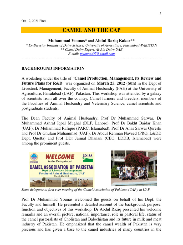 Chapter On Camel and The Cap 2021 Oct 2021. Contd.. Aa Plus BB Final. | PDF