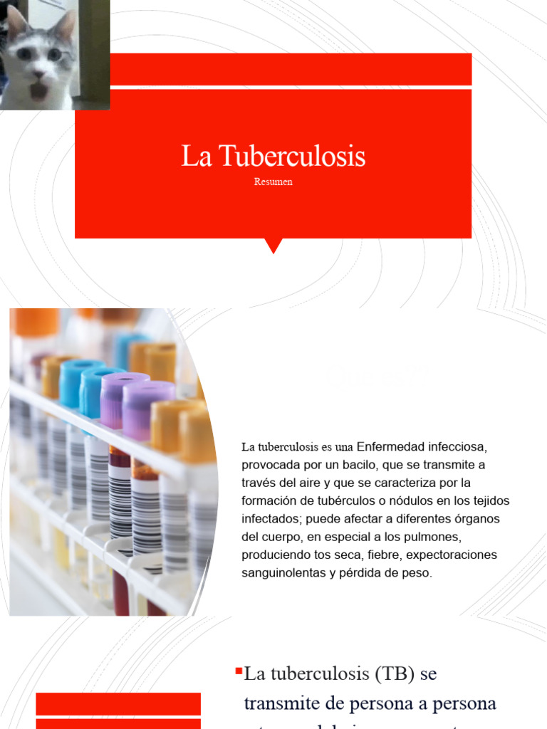 act 4 | PDF | Tuberculosis | Enfermedades animales