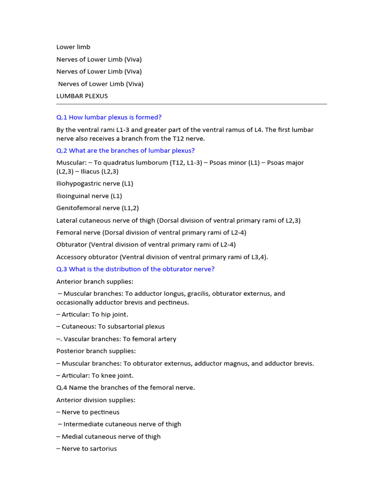 Lower Limb Anatomy Mcqs | PDF | Knee | Human Leg