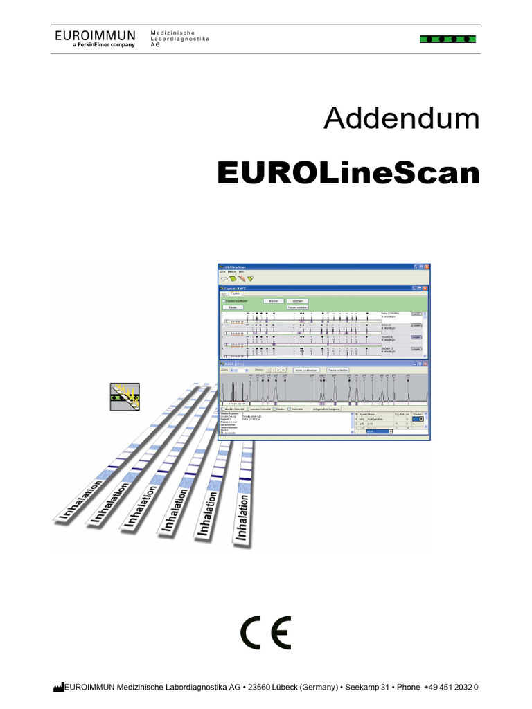 Addendum Eng | PDF | Computer File | Western Blot
