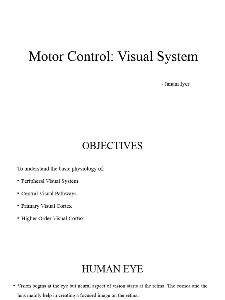 Motor Control - Visual System | PDF | Visual System | Visual Cortex
