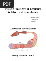 Maitland | PDF | Manual Therapy | Physical Therapy