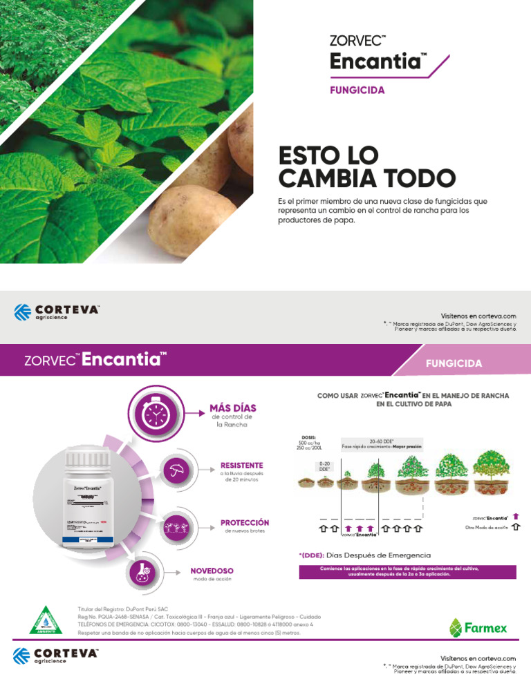 PERÚ - Zorvec Encantia - VOLANTE MEDIA - Digital | PDF