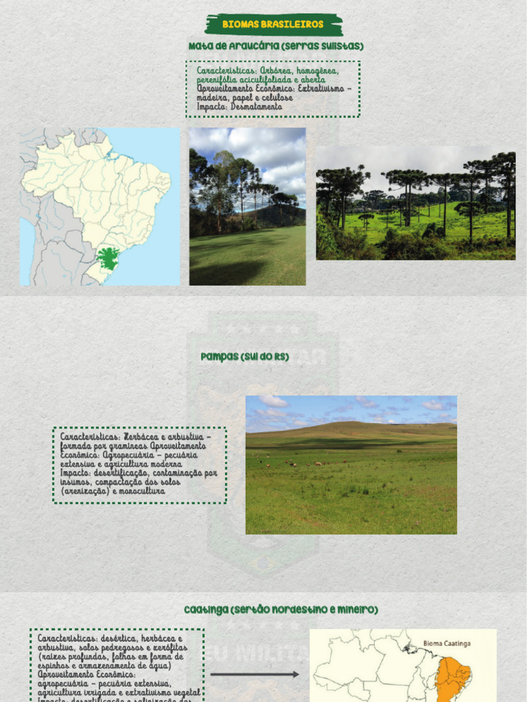 Biomas Brasileiros | PDF | Ambiente natural | Ecologia