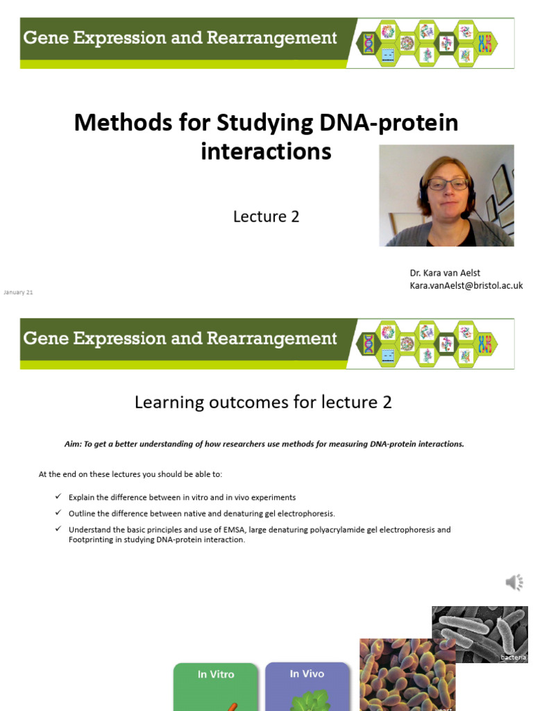 DNA-Protein Interaction Analysis Methods | PDF | Gel Electrophoresis ...