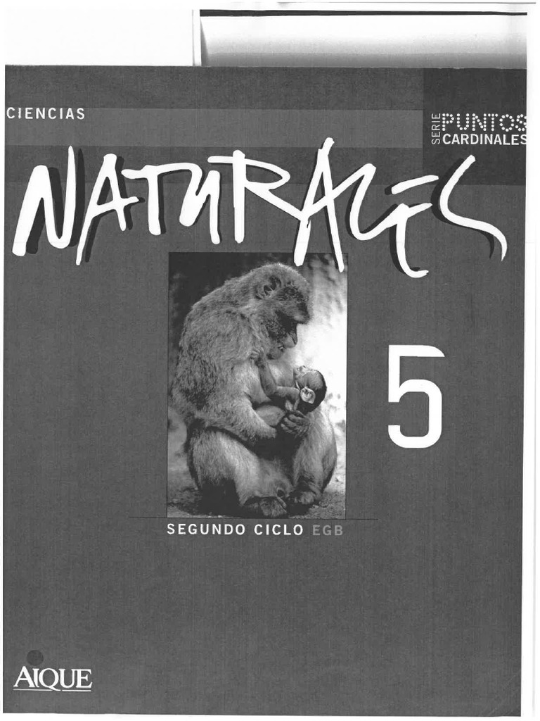 Estados, Agua, Mezclas 5 Aique | PDF