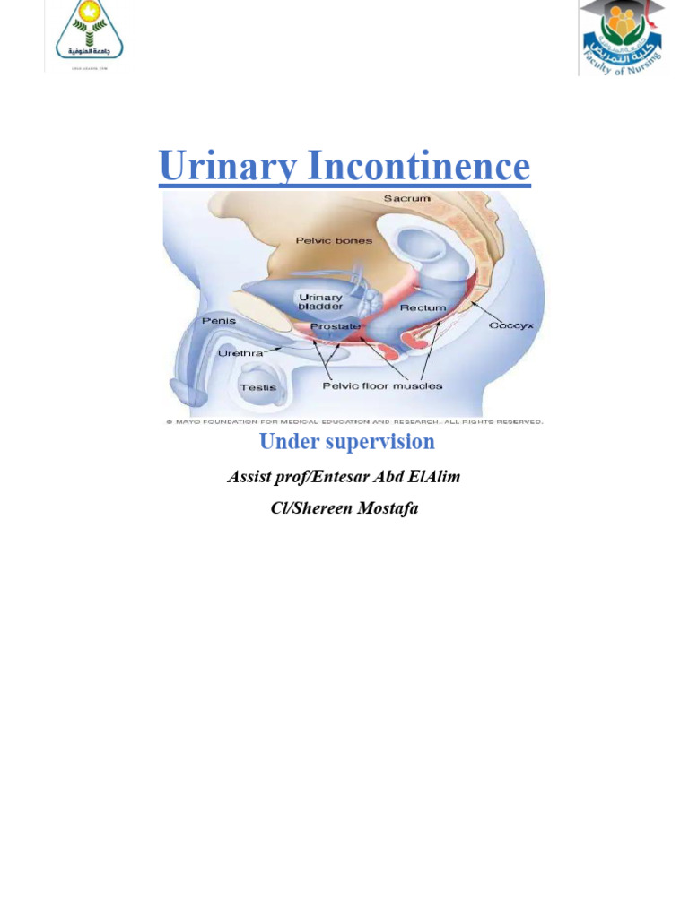 Urinary Incontinence | PDF | Urinary Incontinence | Urination
