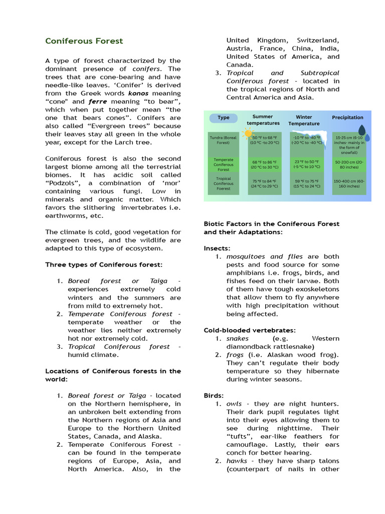 Coniferous Forest Handout | PDF | Forests | Trees