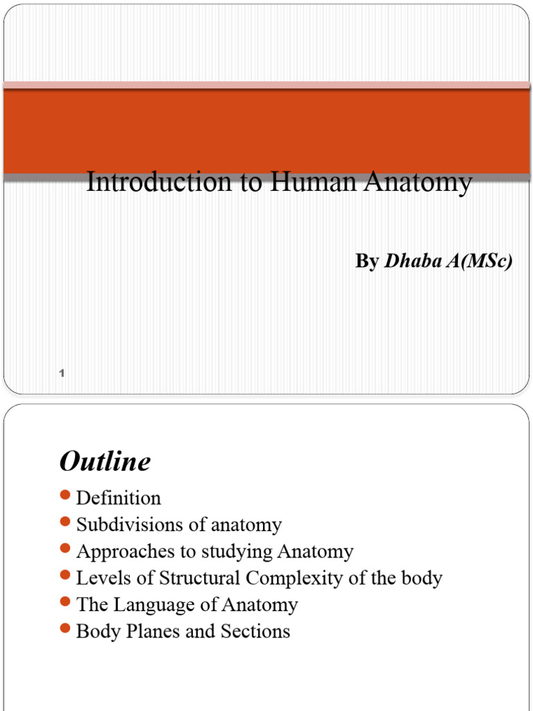 Introduction to Anatomy | PDF | Anatomical Terms Of Motion | Human Body