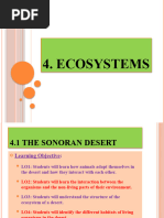 Sonoran Desert Ecosystem Guide | PDF | Food Web | Ecosystem