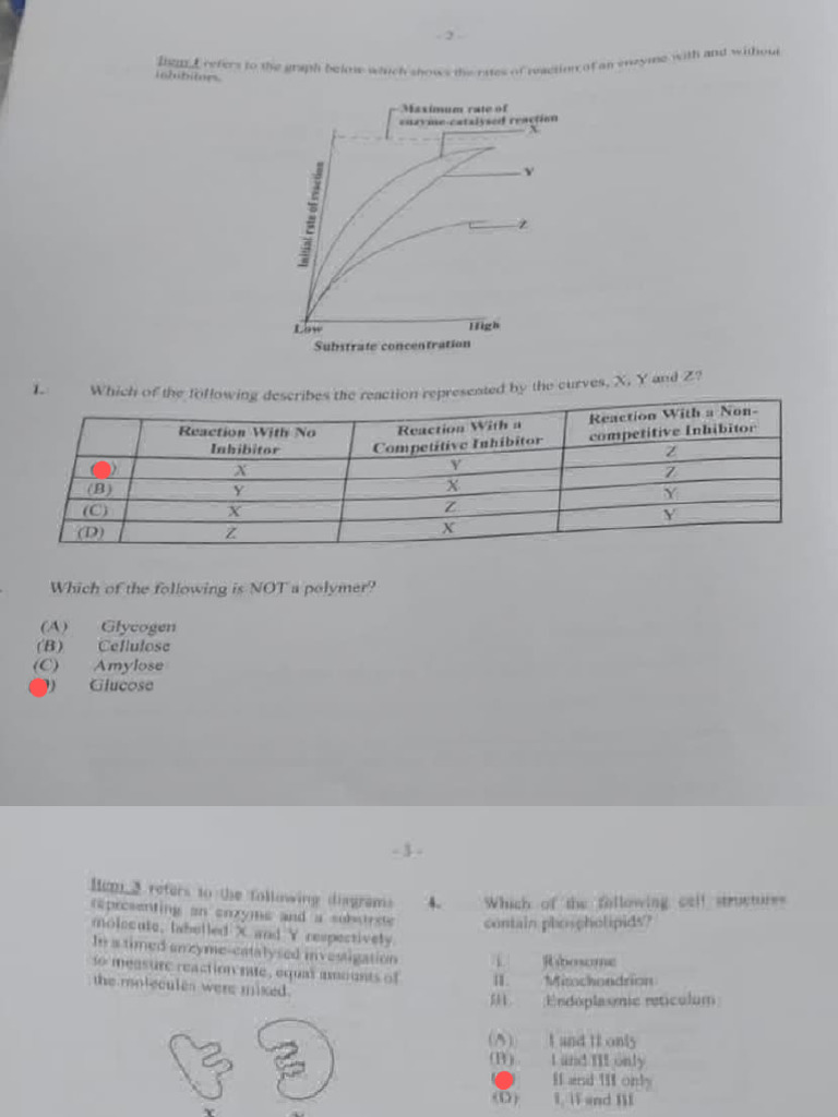 2023 Bio Solution p1 | PDF | Fertilisation | Cell (Biology)