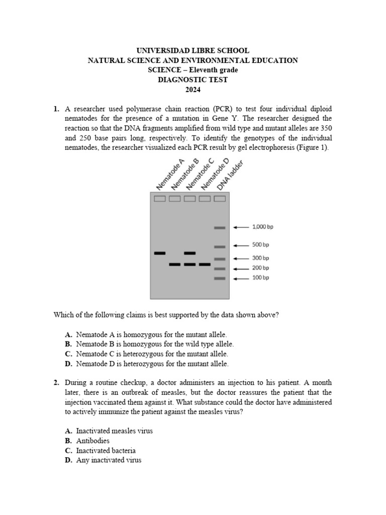 Diagnostic Test 11 CUL 2024 | PDF | Dna | Molecular Biology