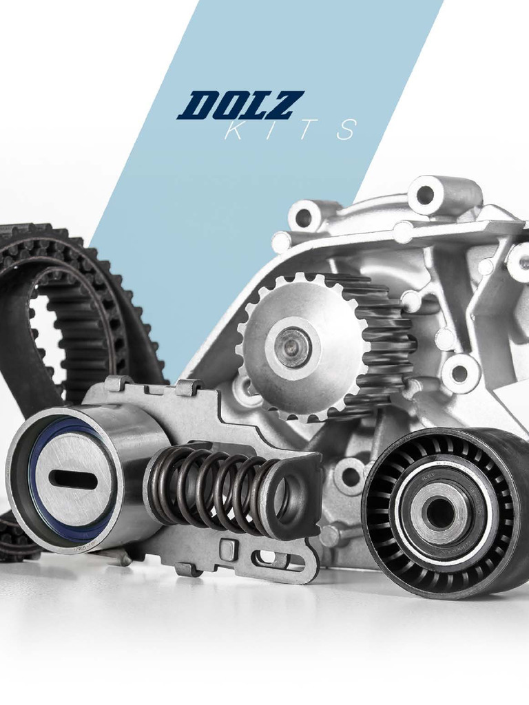 Catalogo-kits DOLZ | PDF | Diesel Engine | Engines
