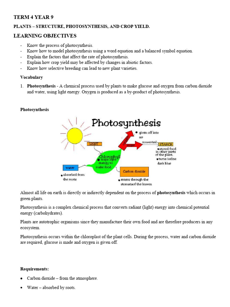 KS3 Science Year 9 Plants Content | PDF