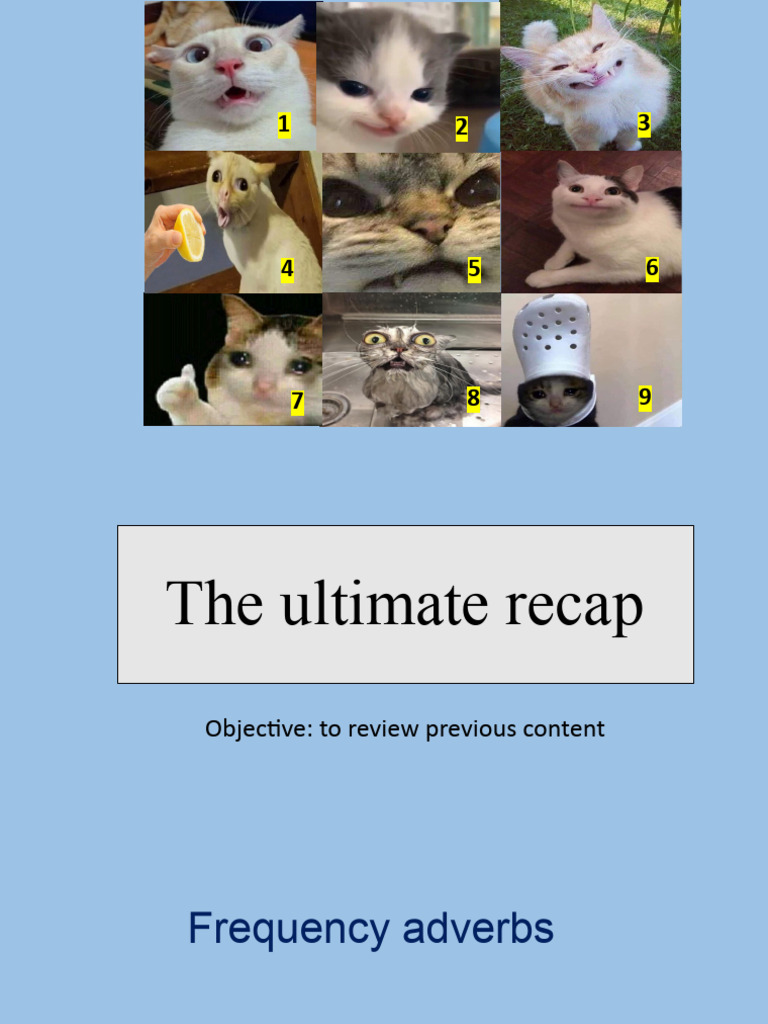 Unit 4 and 5 Lesson 9 The Ultimate Recap | Download Free PDF | Verb ...