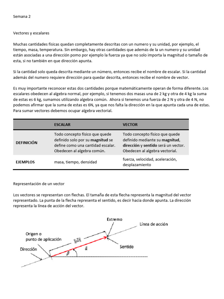 Contenidos Vectores y Escalares | PDF | Vector Euclidiano | Escalar ...