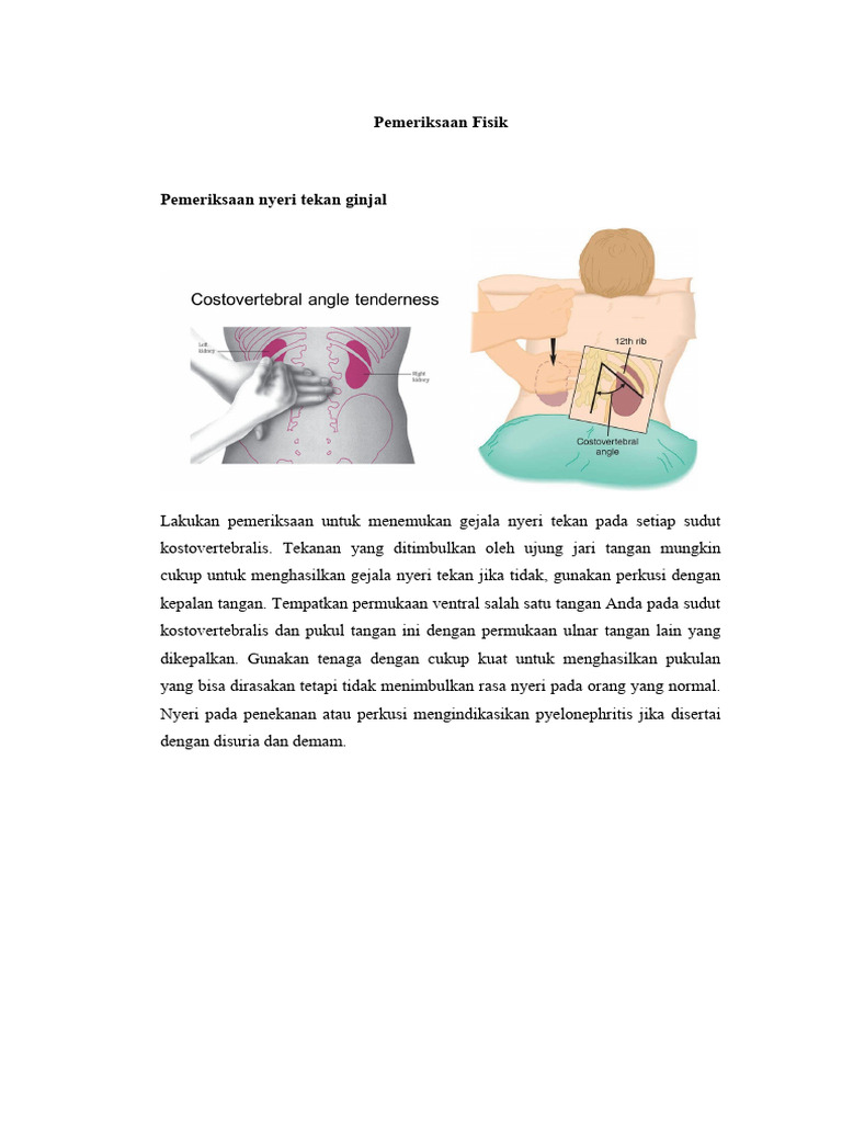 Li Ariib Pemfis | PDF