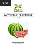 Temo Letlotlo Guidelines | PDF | Loans | Agriculture