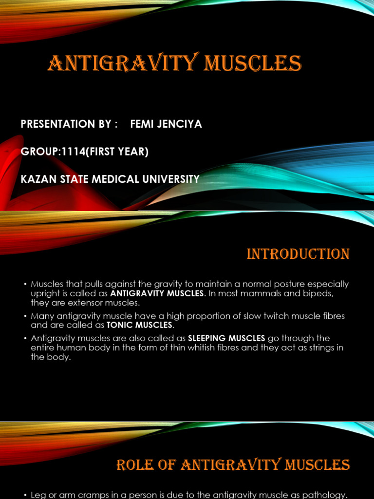 Antigravity Muscles | PDF