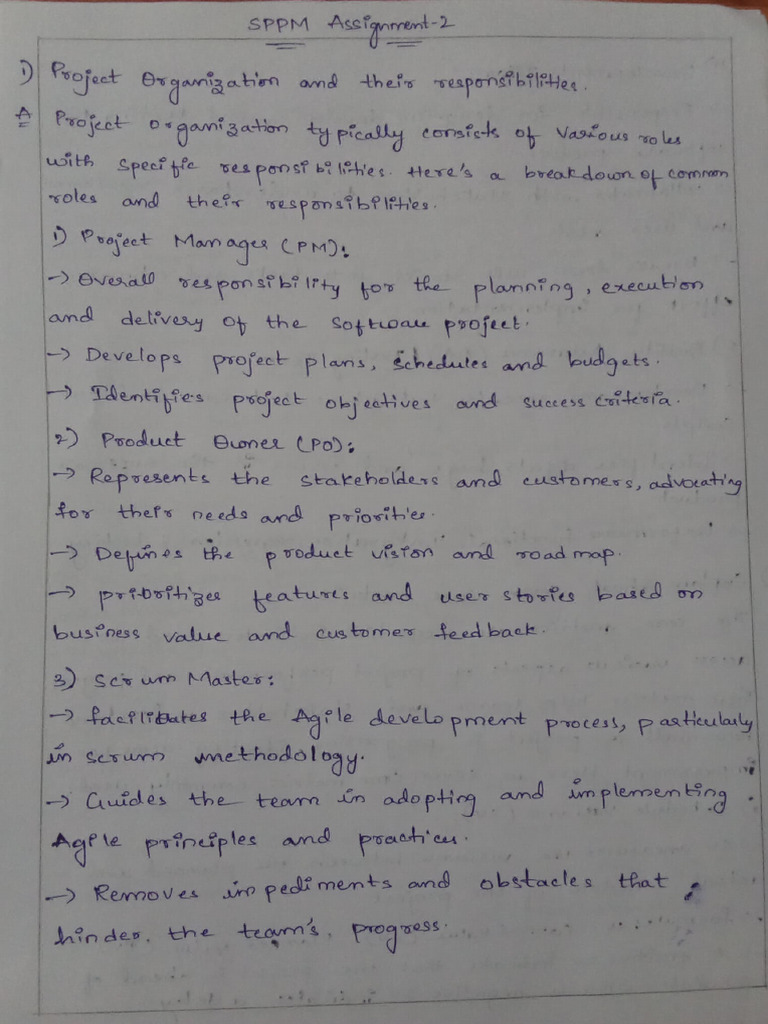 SPPM Assignment 2 | PDF | Estudios de idiomas extranjeros | Métodos y materiales de enseñanza