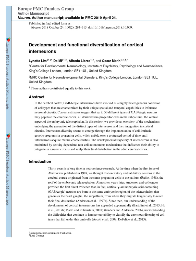 Lynette_Development and functional diversification of cortical interneurons | PDF | Cerebral ...