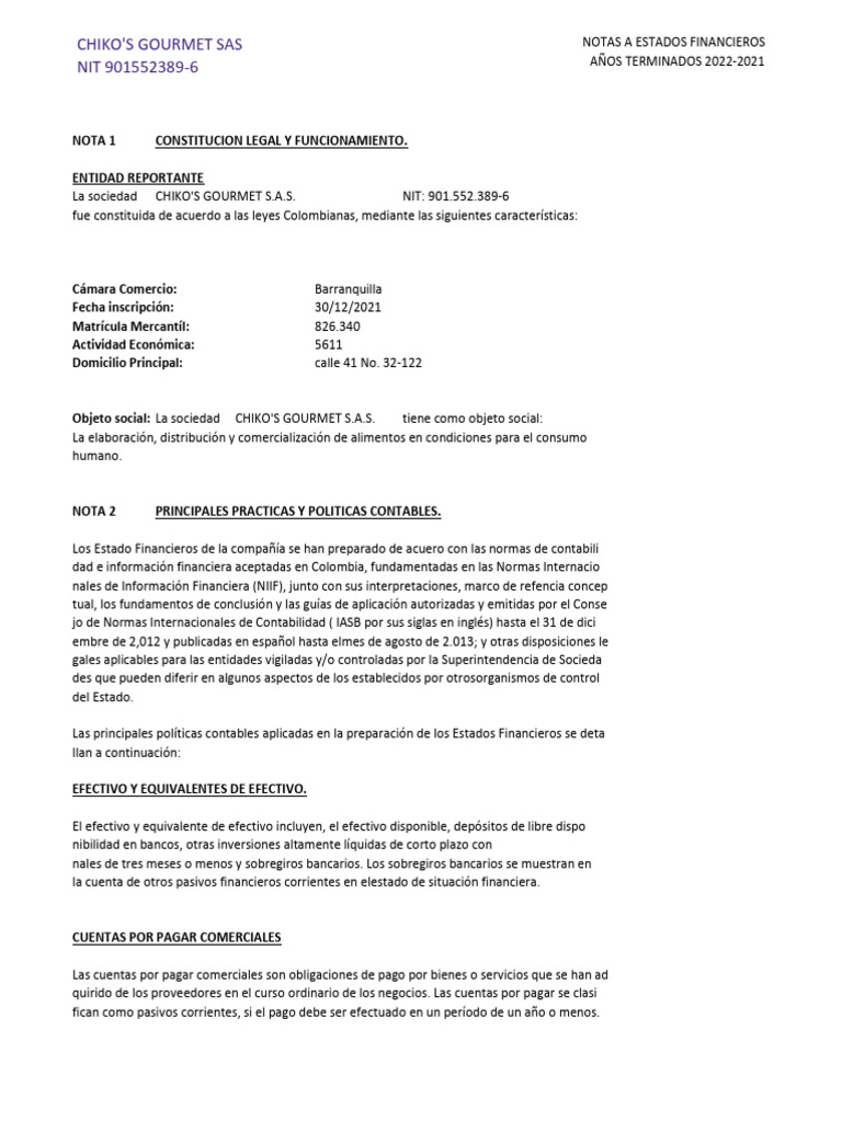 Notas A Los Estados Financieros 2021-2022-2023 | Descargar gratis PDF | normas internacionales ...