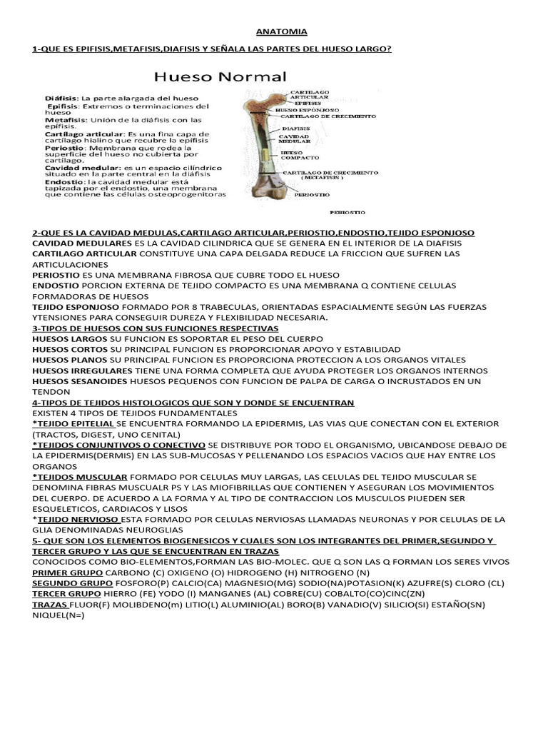 Anatomía Y Funciones Del Cuerpo Humano Pdf
