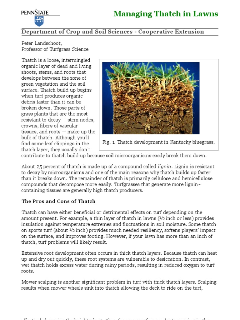 Managing Thatch in Lawns | Download Free PDF | Lawn | Decomposition
