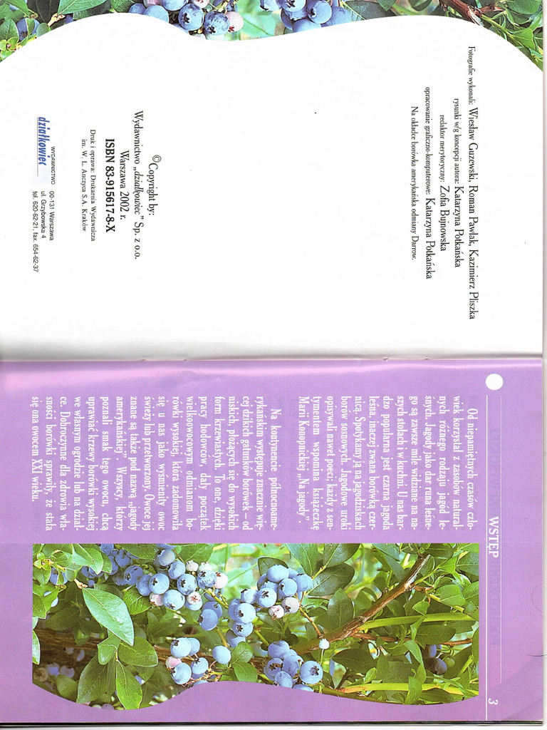 Grafika | PDF