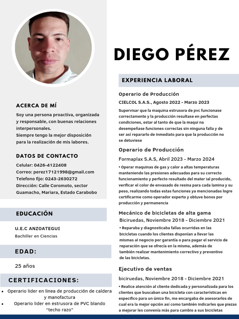 CV Diego | PDF