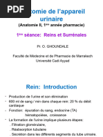 Anatomie des reins et leur vascularisation | PDF | Rein | Foie