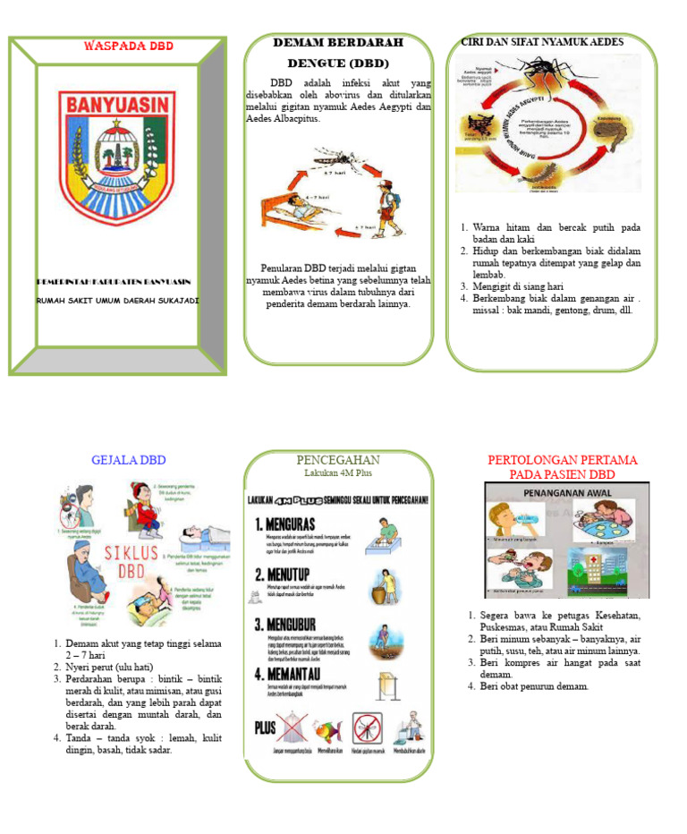 Leaflet DBD | PDF