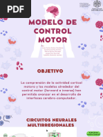 Modelo de Hill en Contracción Muscular | PDF | Músculo esquelético | Actina