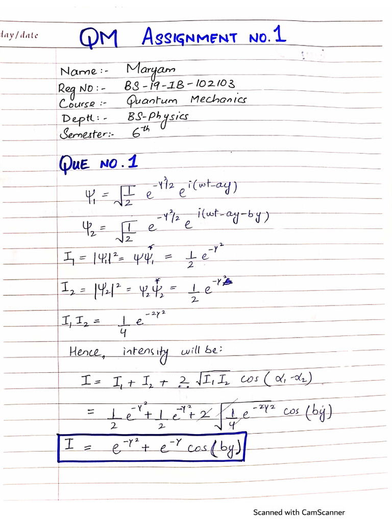 Assignment 1 QM | PDF