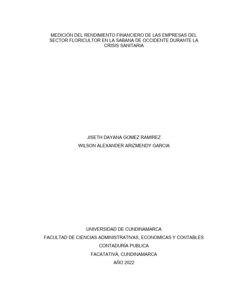 MONOGRAFIA | PDF | Rentabilidad sobre recursos propios | Deuda