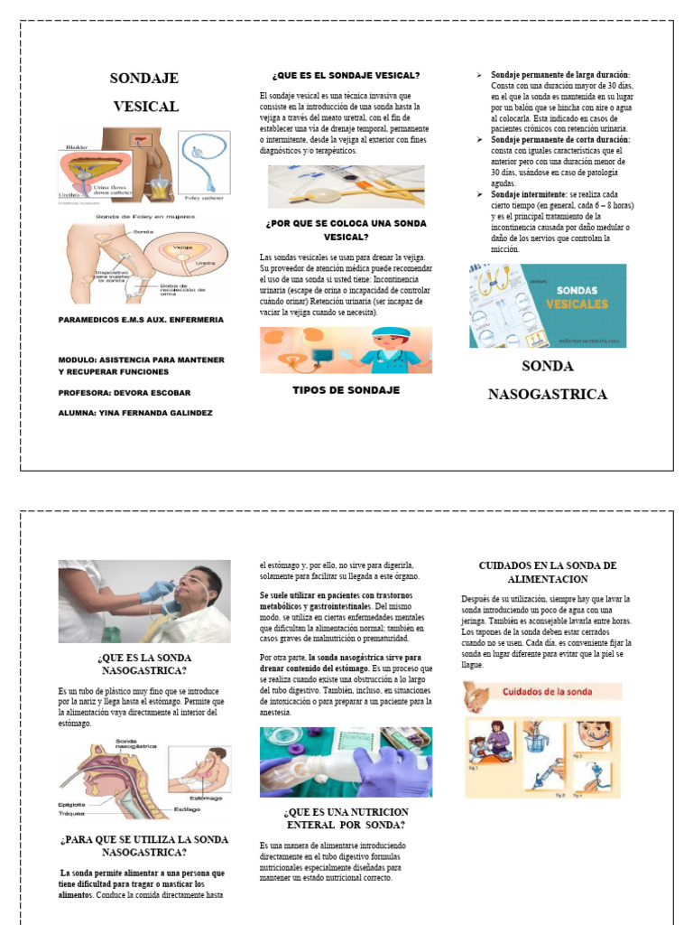 Sondaje Vesical: Tipos y Cuidados | PDF | Medicina CLINICA ...