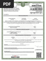 Cedula Profesional NALLELY GARCIA ALCANTARA Falsa | PDF | México | Gobierno