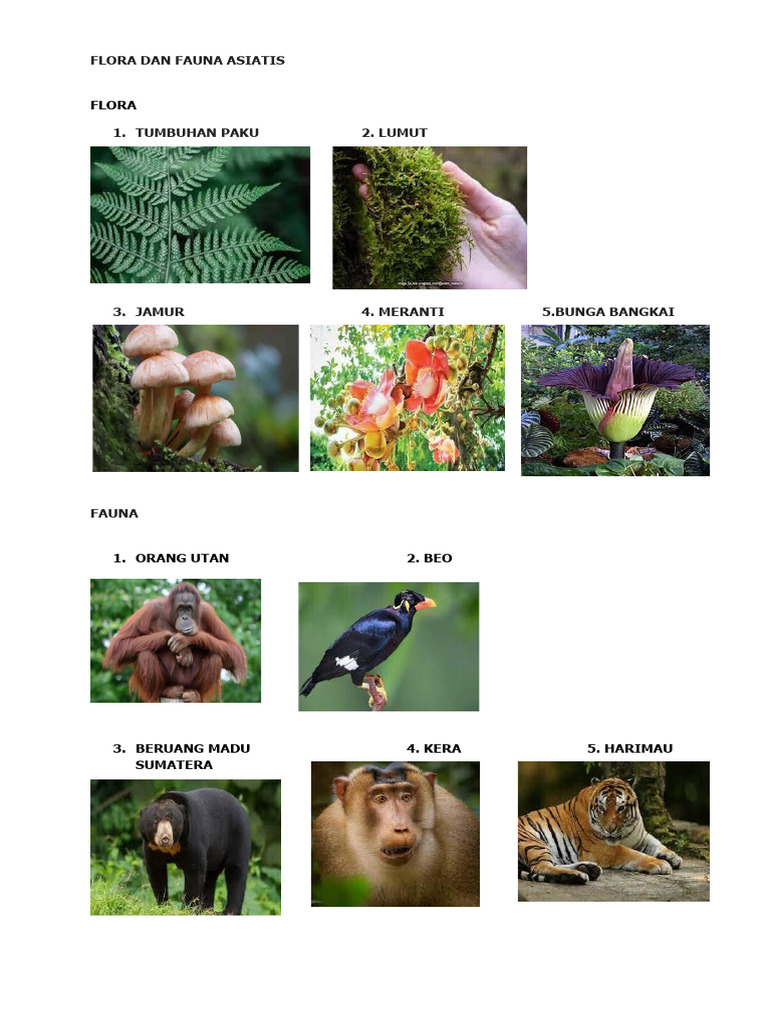 Flora Dan Fauna Asiatis | PDF