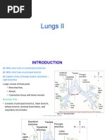The Radiology Assistant - Lung Segments and Bronchi | PDF | Lung ...