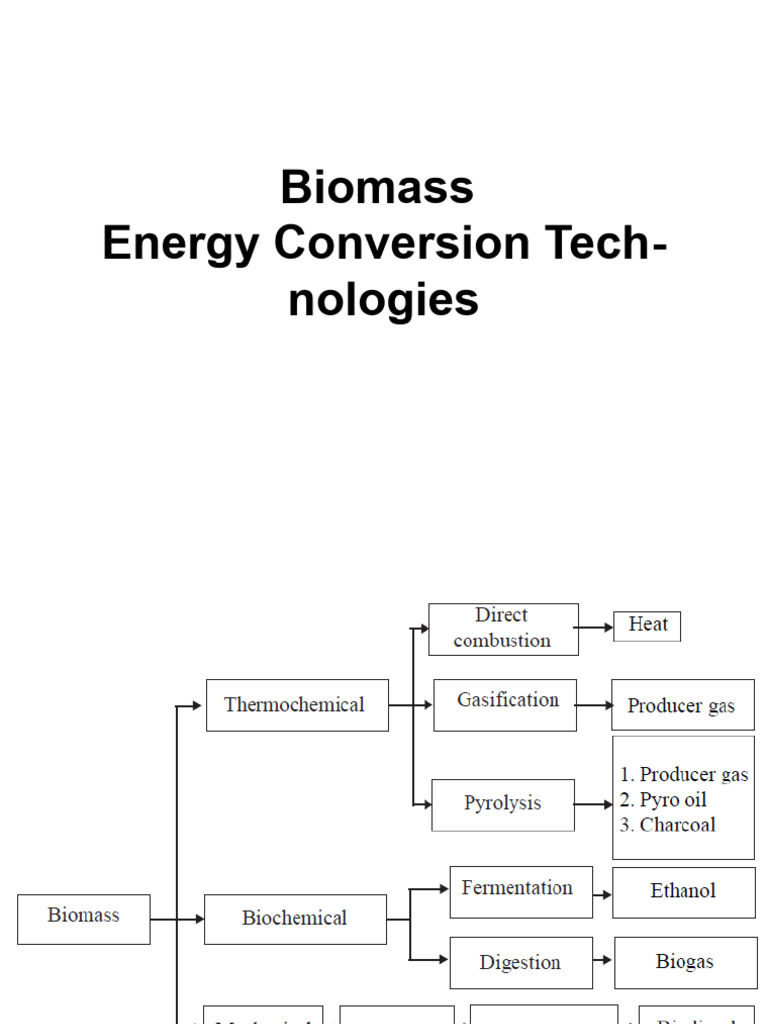 Biomass Energy Conversion Properties | PDF