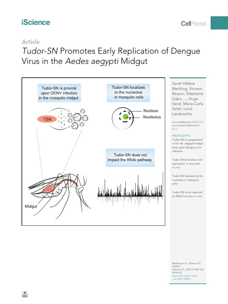 Pi Is 2589004220300547 | PDF | Small Interfering Rna | Virus