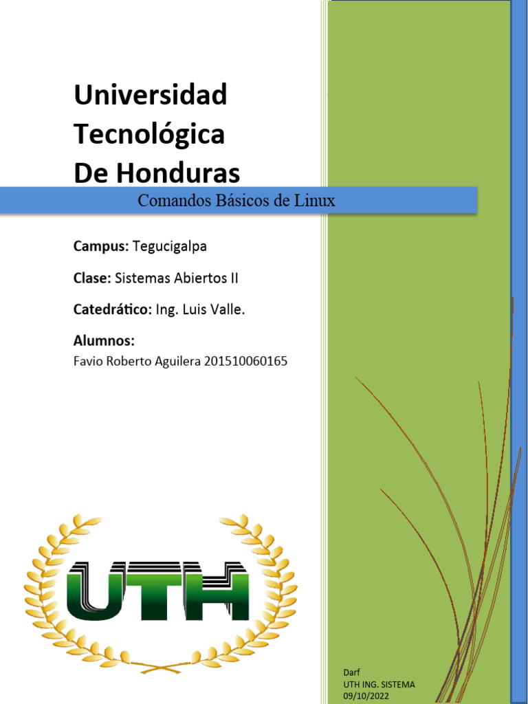 Comandos Basicos | PDF | Archivo de computadora | Software utilitario Comandos Basicos | PDF | Archivo de computadora | Software utilitario