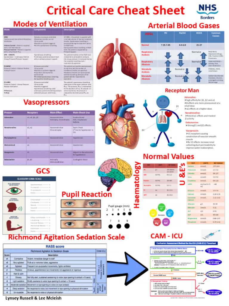 Critical Care Cheat Sheet Overview | PDF | Science & Mathematics